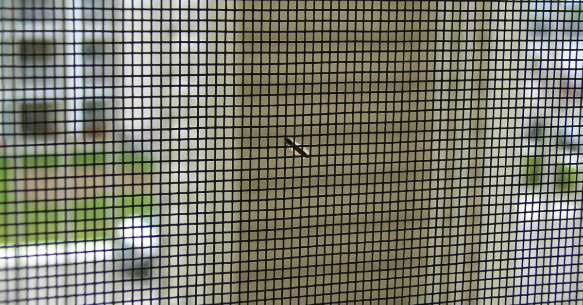 Midge Mesh Rolls 30 X 1.2mts Wide - Fly Screens For Windows And Doors