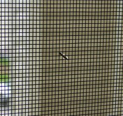 Midge Mesh Rolls 30 X 1.2mts Wide - Fly Screens for Windows and Doors