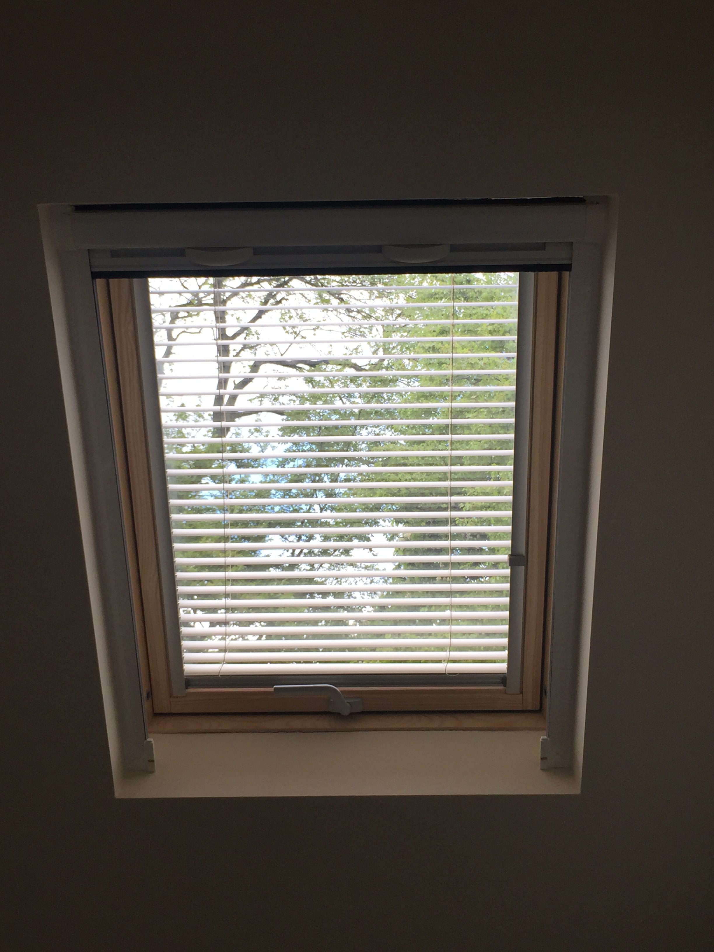 Roller Fly Screens Windows Gallery